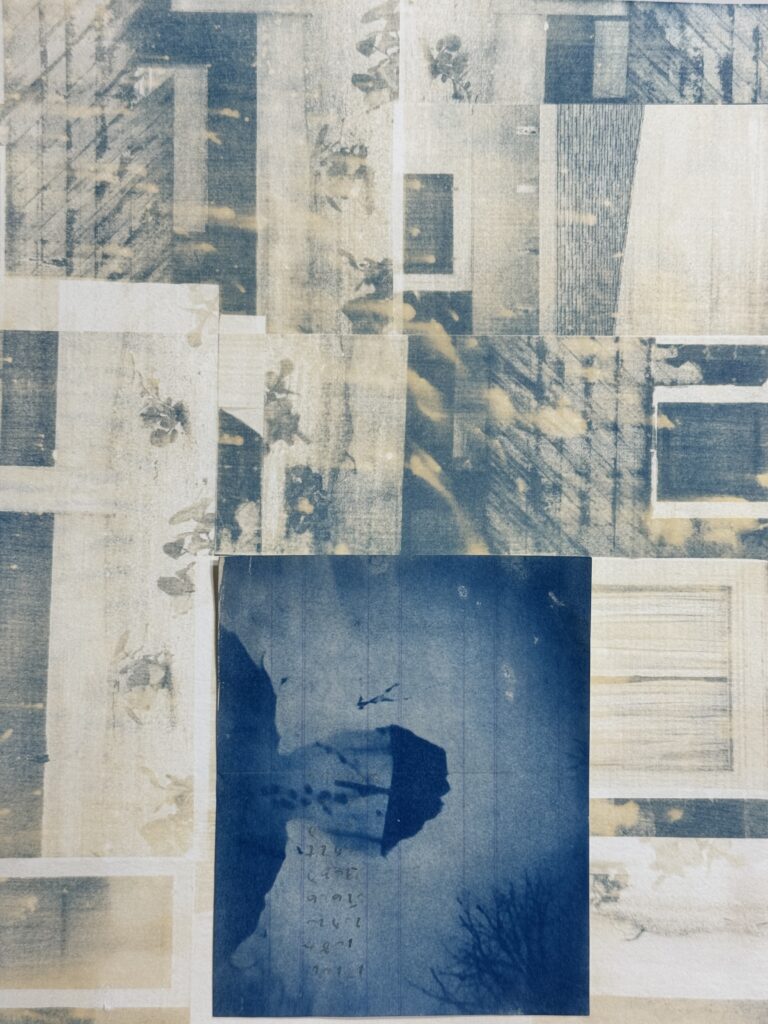 Photographic Cyanotype - A&H - Art & History Museums Maitland